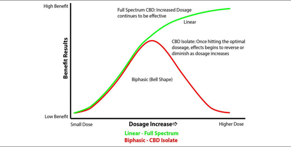 How Much CBD Should I Take? 2020 Updated CBD Dosage Guide